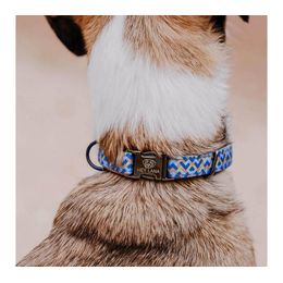 Hey Lana Hunde-Halsband Hundehalsband Kunterbunt – Mocca/Blau – Gepolstert