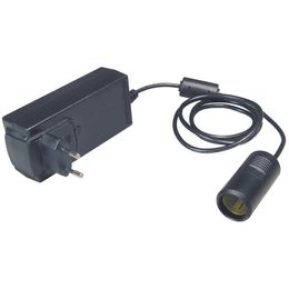 Procar Steckdosen Netzteil, 60 Watt
