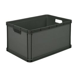 keeeper Wickelauflage 3 x Robusto-Box 64 L graphite Aufbewahrungsbox Box Kiste
