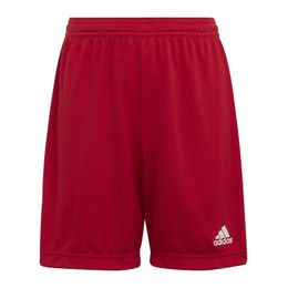 adidas Performance Sporthose Entrada 22 Short Kids