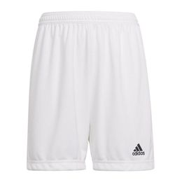 adidas Performance Sporthose Entrada 22 Short Kids