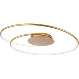 LED Deckenleuchte Paul Neuhaus "NASTRO" Lampen goldfarben (gold) Designlampe Deckenlampen