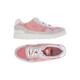 Lacoste Herren Sneakers, pink, Gr. 40
