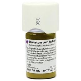 Weleda EQUISETUM CUM Sulfure tostum D 1 Trituration