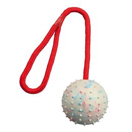 Trixie Spielknochen Ball am Seil