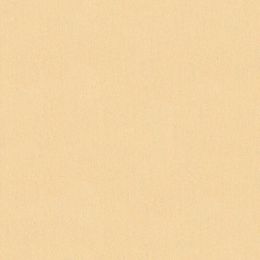 A.S. Création Apricot Tapete mit Vinyl | Einfarbige Vliestapete in Sandfarben für Kinderzimmer und Wohnzimmer | Vlies Wandtapete dezent - 10,05 x 0,53 m - Beige /