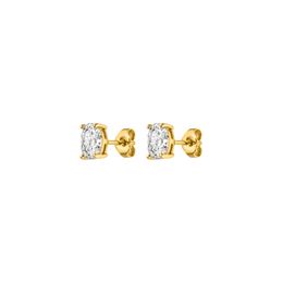 Paul Valentine Brilliant Oval Studs 14k Gold Plated