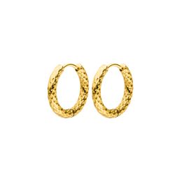 Paul Valentine Delicate Structured Hoops 14K Gold Plated