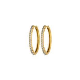 Paul Valentine Allira Hoops Medium 18K Gold Plated