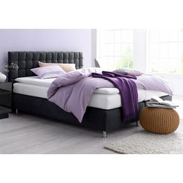 Westfalia Schlafkomfort Boxspringbett schwarz