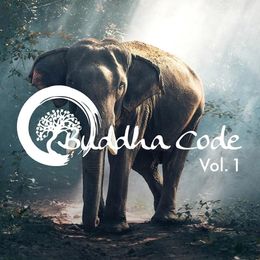 Buddha Code Vol.1 - Tim Vogt. (CD)