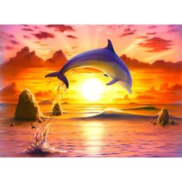 Rötting Design Malen nach Zahlen BASTELIDEE 5d Diamond Painting Set Motiv Delphine im Sonnenuntergang