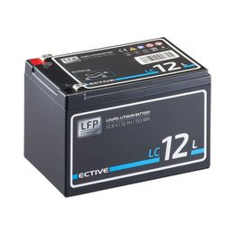 ECTIVE ECTIVE LC 12L 12V LiFePO4 Lithium Batterie 12Ah Batterie