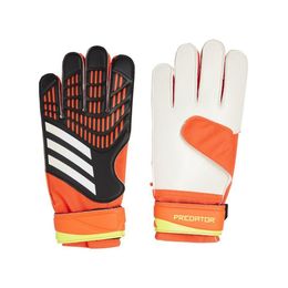 adidas Performance Torwarthandschuhe Predator Training TW-Handschuhe Solar Energy