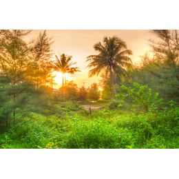 papermoon Fototapete "Amazing Jungle Sunrise" Tapeten Gr. B/L: 4 m x 2,6 m, Bahnen: 8 St., bunt (mehrfarbig) Fototapeten