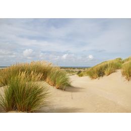 papermoon Fototapete "Dunes Grass" Tapeten Gr. B/L: 3,5 m x 2,6 m, Bahnen: 7 St., bunt (mehrfarbig) Fototapeten