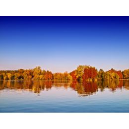 papermoon Fototapete "Autumn Lake" Tapeten Gr. B/L: 4 m x 2,6 m, Bahnen: 8 St., bunt (mehrfarbig) Fototapeten