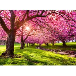 papermoon Fototapete "Cherry Tree Blossom" Tapeten Gr. B/L: 4 m x 2,6 m, Bahnen: 8 St., bunt (mehrfarbig) Fototapeten