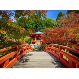 papermoon Fototapete "Daigoji Temple Kyoto" Tapeten Gr. B/L: 3,5 m x 2,6 m, Bahnen: 7 St., bunt (mehrfarbig) Fototapeten