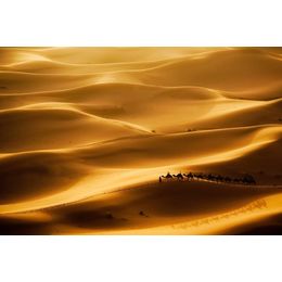 papermoon Fototapete "Wüste" Tapeten Gr. B/L: 4,00 m x 2,60 m, Bahnen: 8 St., bunt Fototapeten