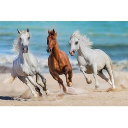 papermoon Fototapete "Horse Herd Run Gallop" Tapeten Gr. B/L: 3,5 m x 2,6 m, Bahnen: 7 St., bunt (mehrfarbig) Fototapeten