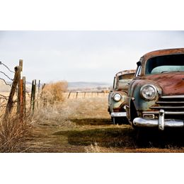 papermoon Fototapete "Vintage Rusting Cars" Tapeten Gr. B/L: 3,5 m x 2,6 m, Bahnen: 7 St., bunt (mehrfarbig) Fototapeten