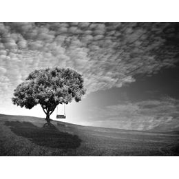 papermoon Fototapete "Baum Schwarz & Weiß" Tapeten Gr. B/L: 3,50 m x 2,60 m, Bahnen: 7 St., schwarz (schwarz, weiß) Fototapeten