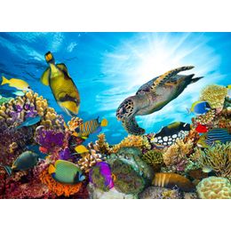 papermoon Fototapete "Coral Reef Fiji" Tapeten Gr. B/L: 4 m x 2,6 m, Bahnen: 8 St., bunt (mehrfarbig) Fototapeten