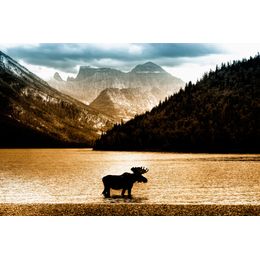 papermoon Fototapete "Moose in Waterton Lake" Tapeten Gr. B/L: 4 m x 2,6 m, Bahnen: 8 St., bunt (mehrfarbig) Fototapeten