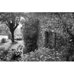 papermoon Fototapete "Garten Schwarz & Weiß" Tapeten Gr. B/L: 3,50 m x 2,60 m, Bahnen: 7 St., schwarz (schwarz, weiß) Fototapeten