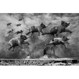 papermoon Fototapete "Surreale fliegende Elefanten" Tapeten Gr. B/L: 3,50 m x 2,60 m, Bahnen: 7 St., bunt Fototapeten