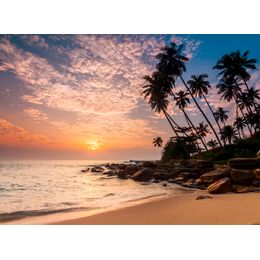 papermoon Fototapete "Palm Beach Sri Lanka" Tapeten Gr. B/L: 3,5 m x 2,6 m, Bahnen: 7 St., bunt (mehrfarbig) Fototapeten