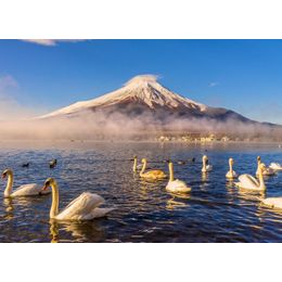 papermoon Fototapete "Mount Fuji" Tapeten Gr. B/L: 4 m x 2,6 m, Bahnen: 8 St., bunt (mehrfarbig) Fototapeten