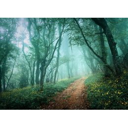 papermoon Fototapete "Misty Forest in Fog" Tapeten Gr. B/L: 3,5 m x 2,6 m, Bahnen: 7 St., bunt (mehrfarbig) Fototapeten