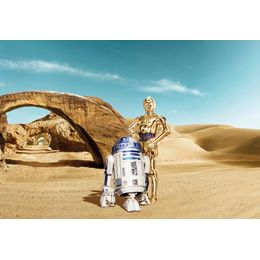 Komar Fototapete "Star Wars Lost Droids" Tapeten 368x254 cm (Breite x Höhe), inklusive Kleister Gr. B/L: 368 m x 254 m, Rollen: 8 St., blau (blau, beige, gold) Fototapeten Comic
