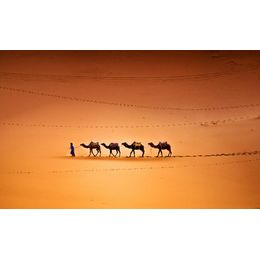 papermoon Fototapete "kamele in Wüste" Tapeten Gr. B/L: 4,00 m x 2,60 m, Bahnen: 8 St., bunt Fototapeten
