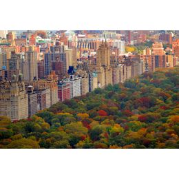 papermoon Fototapete "Central Park" Tapeten Gr. B/L: 4 m x 2,6 m, Bahnen: 8 St., bunt (mehrfarbig) Fototapeten