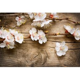 papermoon Fototapete "Blumen auf Holz" Tapeten Gr. B/L: 3,50 m x 2,60 m, Bahnen: 7 St., bunt Fototapeten