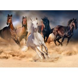 papermoon Fototapete "Horse Herd in Gallop" Tapeten Gr. B/L: 3,5 m x 2,6 m, Bahnen: 7 St., bunt (mehrfarbig) Fototapeten