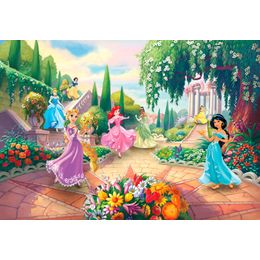 Komar Fototapete "Princess Park" Tapeten 368x254 cm (Breite x Höhe), inklusive Kleister Gr. B/L: 368 m x 254 m, Rollen: 8 St., bunt Fototapeten Comic