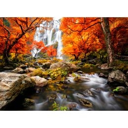papermoon Fototapete "Autumn Waterfall" Tapeten Gr. B/L: 3,5 m x 2,6 m, Bahnen: 7 St., bunt (mehrfarbig) Fototapeten