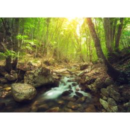 papermoon Fototapete "Forest Creek" Tapeten Gr. B/L: 4 m x 2,6 m, Bahnen: 8 St., bunt (mehrfarbig) Fototapeten