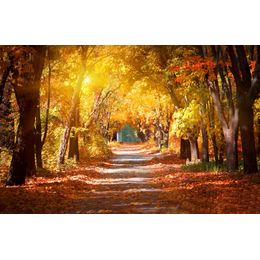 papermoon Fototapete "Alley in the Autumn Park" Tapeten Gr. B/L: 4 m x 2,6 m, Bahnen: 8 St., bunt (mehrfarbig) Fototapeten