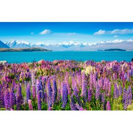 papermoon Fototapete "Montain Lake with Flowers" Tapeten Gr. B/L: 3,5 m x 2,6 m, Bahnen: 7 St., bunt (mehrfarbig) Fototapeten