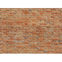 papermoon Fototapete "Brickwall" Tapeten Gr. B/L: 4 m x 2,6 m, Bahnen: 8 St., bunt (mehrfarbig) Fototapeten