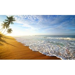 papermoon Fototapete "Palm Beach Sri Lanka" Tapeten Gr. B/L: 3,5 m x 2,6 m, Bahnen: 7 St., bunt (mehrfarbig) Fototapeten