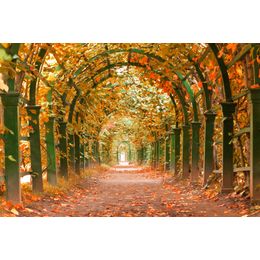 papermoon Fototapete "Autumn Garden" Tapeten Gr. B/L: 4 m x 2,6 m, Bahnen: 8 St., bunt (mehrfarbig) Fototapeten