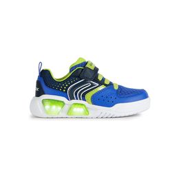 Geox Sneakers "Illuminus" in Blau - 31