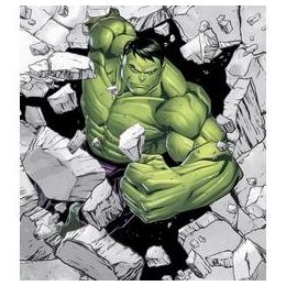 Komar Vlies Fototapete Hulk Breaker 250 x 280 cm