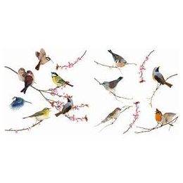 Komar Windowsticker Birds 31 x 31 cm